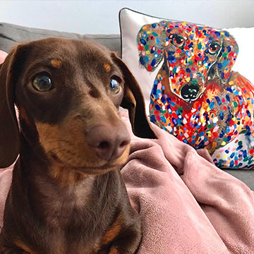 Tracey Keller | Australia's #1 Pet Portrait Artist – Tracey Keller Artist