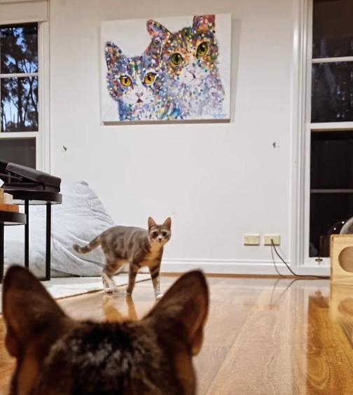 Why Commission Tracey Keller – Tracey Keller Artist